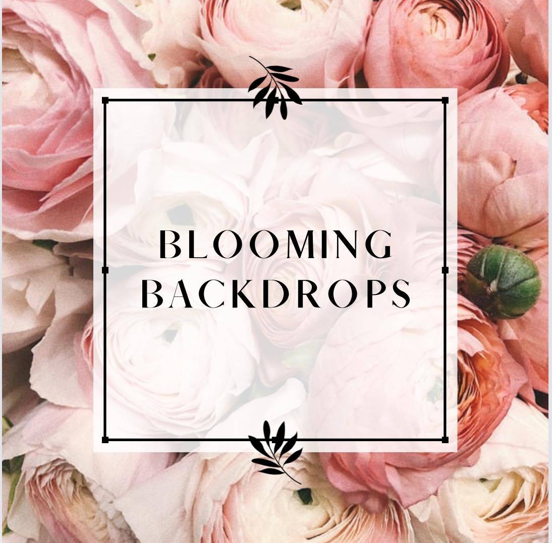 Home | Blooming Backdrops